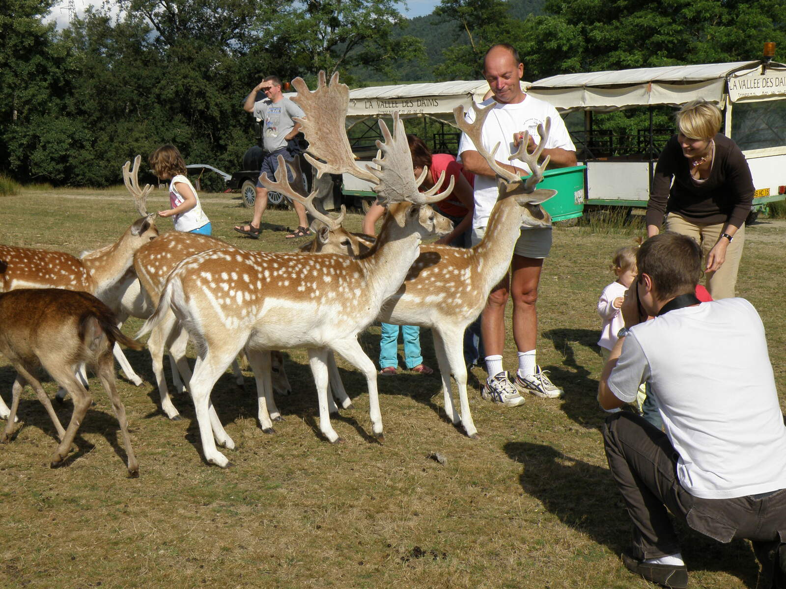La Vallée des Daims, une sortie ludique et instructive dans le Cantal